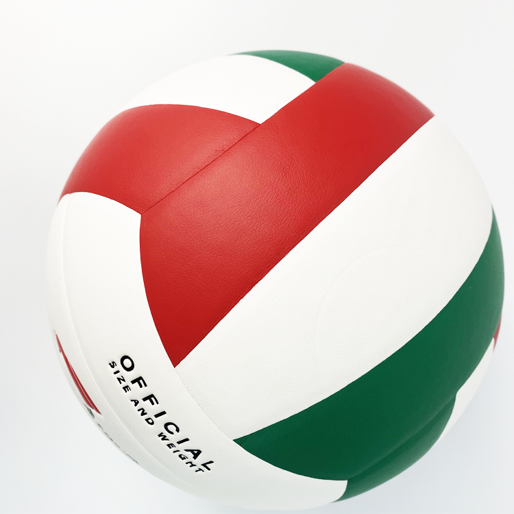 Volleyball’s Evolution: From Recreation to Competitive Sport